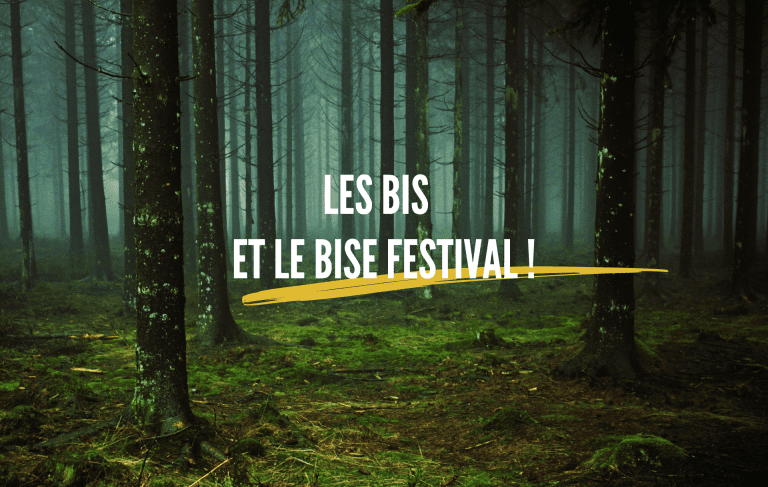 Appel à candidatures : Les BIS et le Bise Festival ! - Musicaction